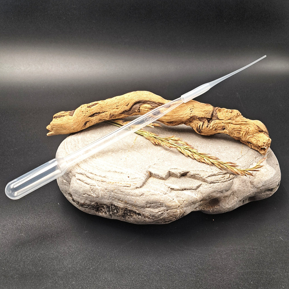 Collections – Abyss Glass